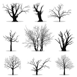 Tree Silhouette Free Stock Photo - Public Domain Pictures