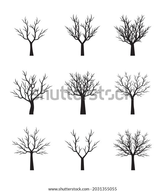 Collection Trees Vector Outline Illustration Plant Stock Vector ...