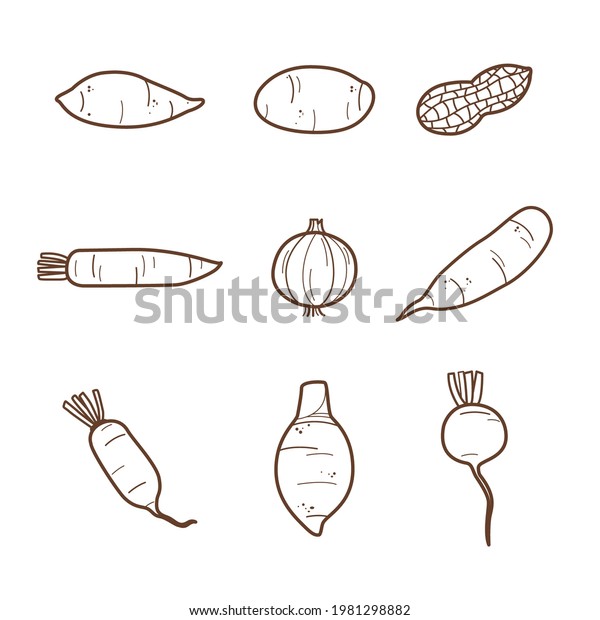 Collection Tuber Outline Icon Design Element Stock Vector (Royalty Free ...