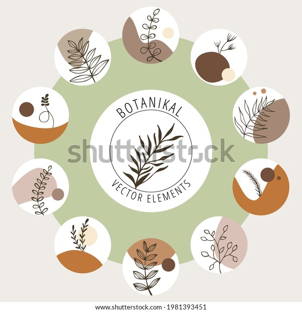 Collection Vector Botanical Icons Brand Handdrawn Stock Vector (Royalty ...