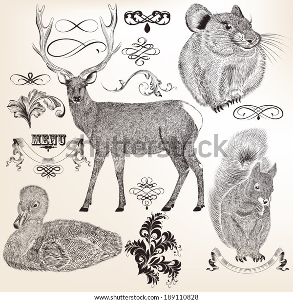 Collection Vector High Detailed Animals Design Stock Vector (Royalty ...