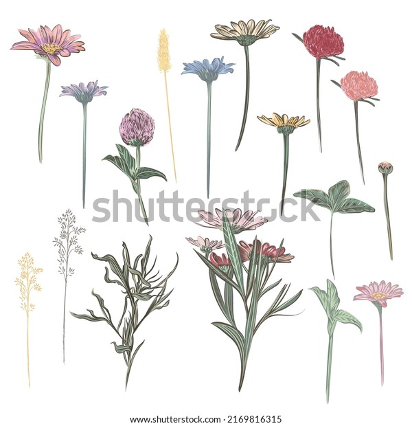 Collection Vector Vintage Style Hand Drawn Stock Vector (Royalty Free ...