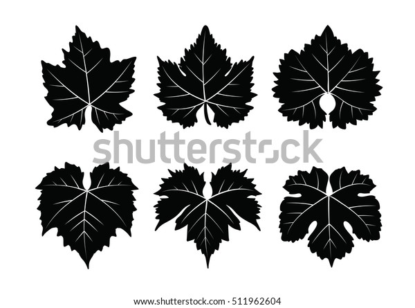 Collection Vector Wine Leaves Isolated On Stock Vector (Royalty Free ...