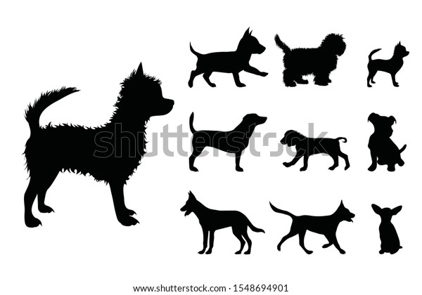 Collection Vectors Small Dogs On White Stock Vector (Royalty Free ...