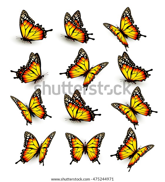 Collection Yellow Butterflies Flying Different Directions Stock Vector ...