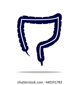 Colon Icon Vectoron On White Background Stock Vector (Royalty Free ...