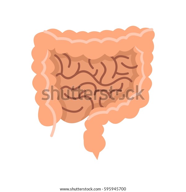 Colonoscopy Icon Flat Illustration Colonoscopy Vector Stock Vector ...