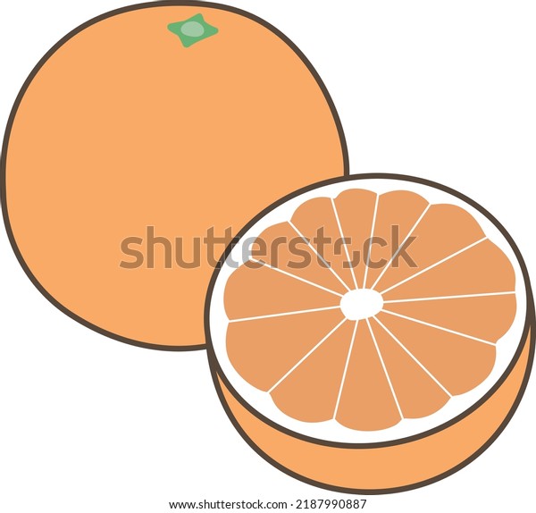 Color Illustration Orange Outline Stock Vector (Royalty Free ...
