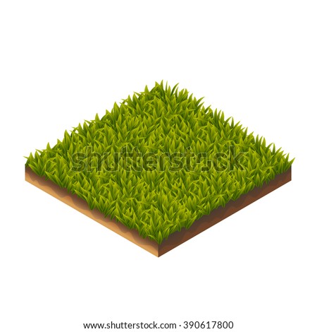 Color Isometric Vector Illustration Green Grass Stock Vector (Royalty ...