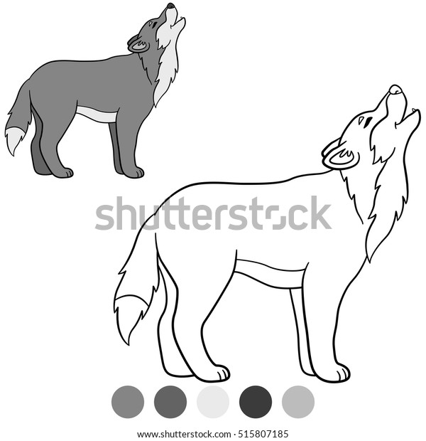 Color:lobo. Un bello lobo lindo se para y aullan.