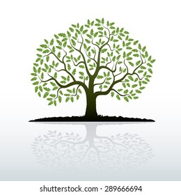 Color Oak Tree Shadow: เวกเตอร์สต็อก (ปลอดค่าลิขสิทธิ์) 289666694 ...
