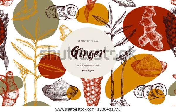 Color splash background with ginger. Hand drawn botanical illustration ...