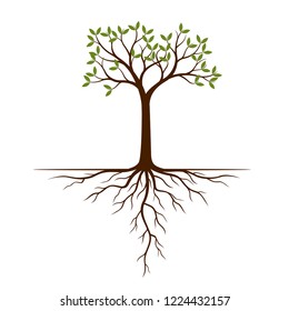 Color Tree Roots Vector Illustration Plant Stock Vector (Royalty Free ...