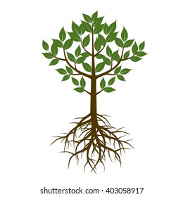 Color Tree Roots Vector Illustration Stock Vector (Royalty Free ...