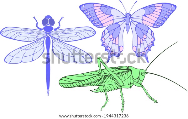 Color Vector Drawing Flying Insects Stock Vector (Royalty Free ...