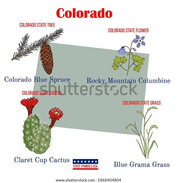 Colorado Set Usa Official State Symbols Stock Vector (Royalty Free ...