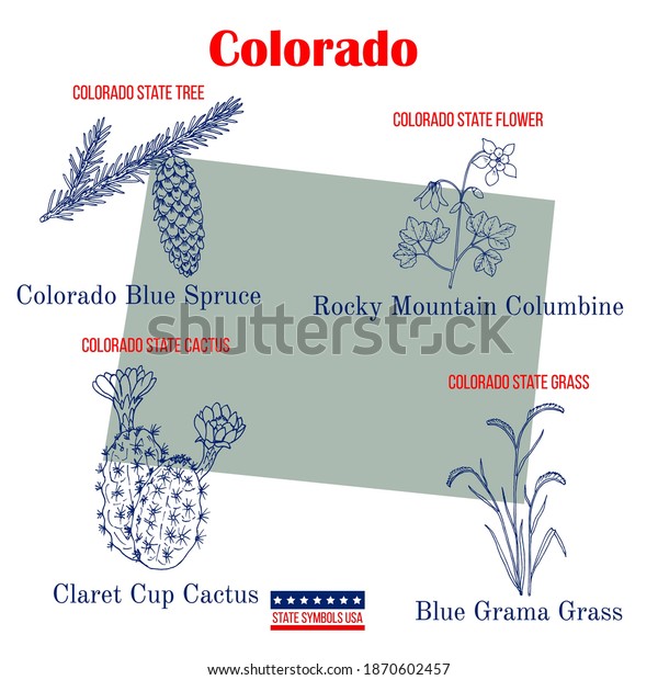 Colorado Set Usa Official State Symbols Stock Vector (Royalty Free ...
