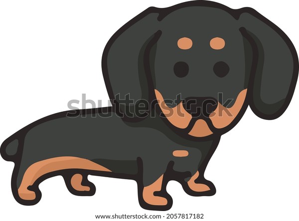 Colored Cute Dachshund Vector Art Stock Vector (Royalty Free ...
