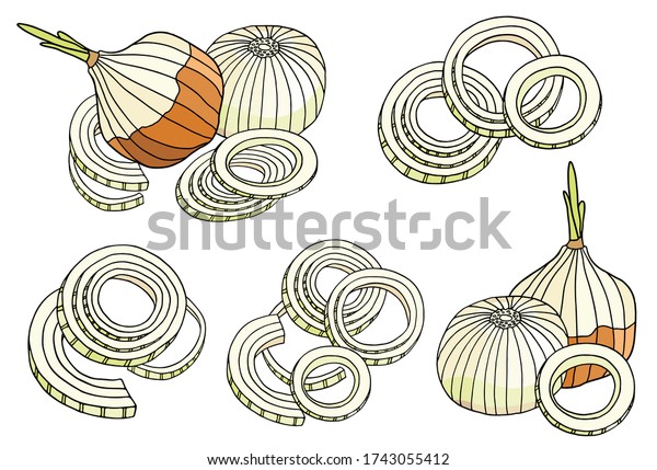 841 imagens de Scallion drawing Imagens, fotos stock e vetores ...