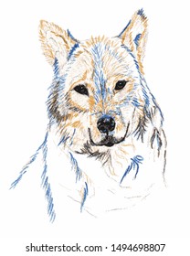Colored Pencil Drawing Dogs Muzzle On Stock Vector (Royalty Free ...