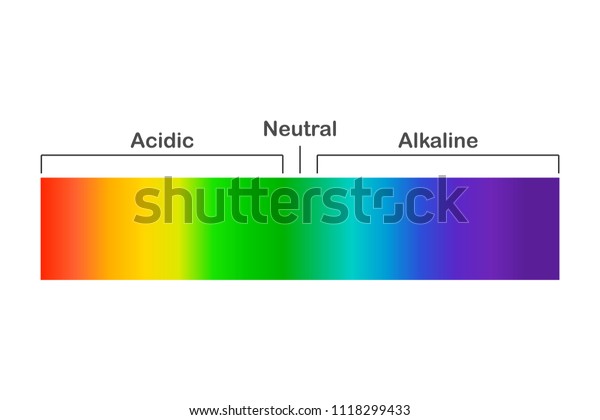Colored Ph Scale Rainbow Isolated Vector: เวกเตอร์สต็อก (ปลอดค่า ...
