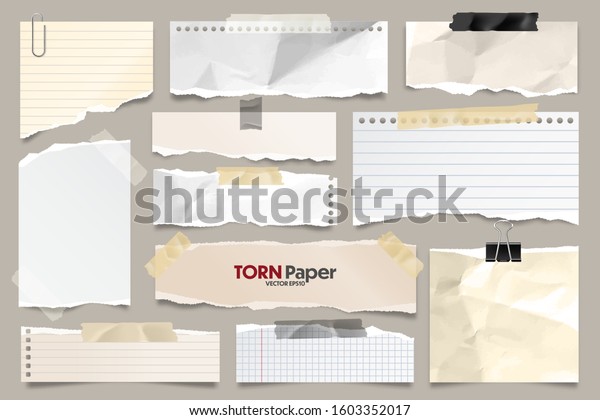 Colored Ripped Lined Paper Strips Collection Stock Vector (Royalty Free ...