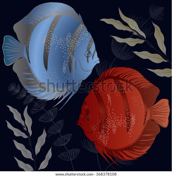Colorful Aquarium Fish Discus Vector Drawing Stock Vector (Royalty Free ...
