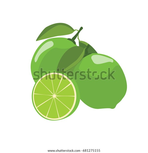 Colorful Cartoon Lime Icon Vector Illustration Stock Vector (Royalty ...