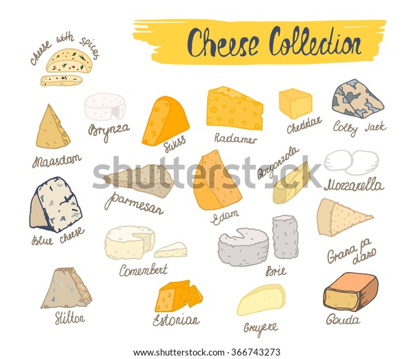 Colorful Cheese Collection Vector Illustration Cheese Stock Vector ...