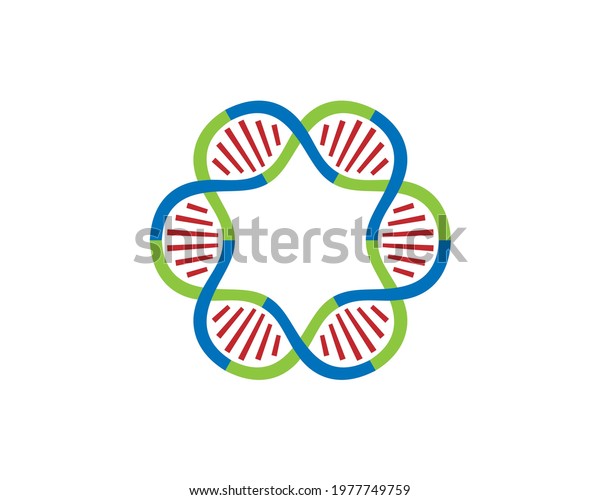 Colorful Circular Dna Strands Loop 6 Stock Vector (Royalty Free ...
