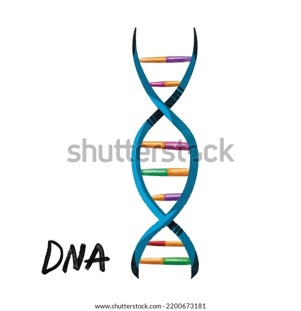 Colorful Dna Biology Inheritance Vector Watercolor Stock Vector ...