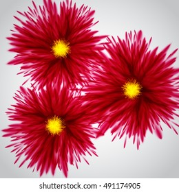 Colorful Explodesflowers Vector Illustration Stock Vector (Royalty Free ...