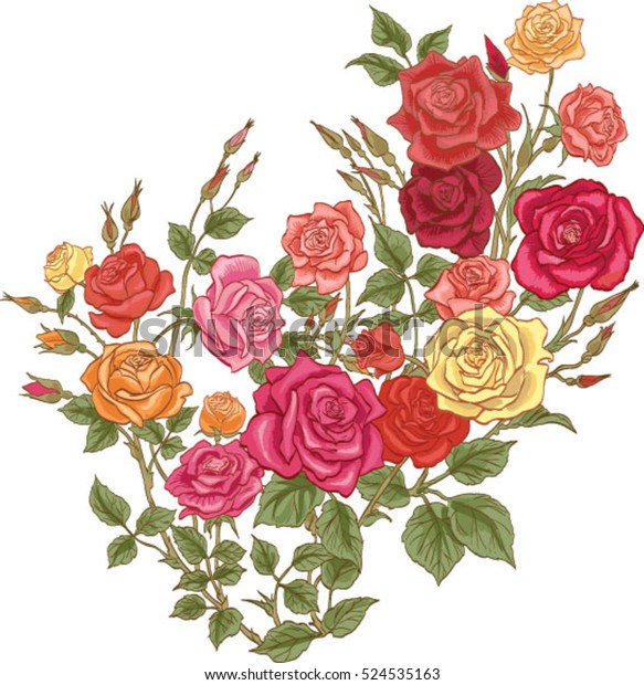 Colorful Flowersvector Roses Stock Vector (Royalty Free) 524535163 ...