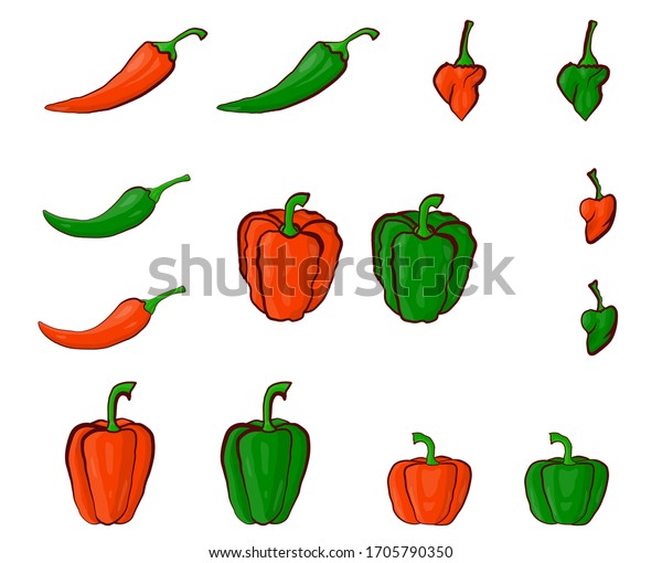 Colorful Pepper Vector Drawing Set Illustration Stock Vector (Royalty ...