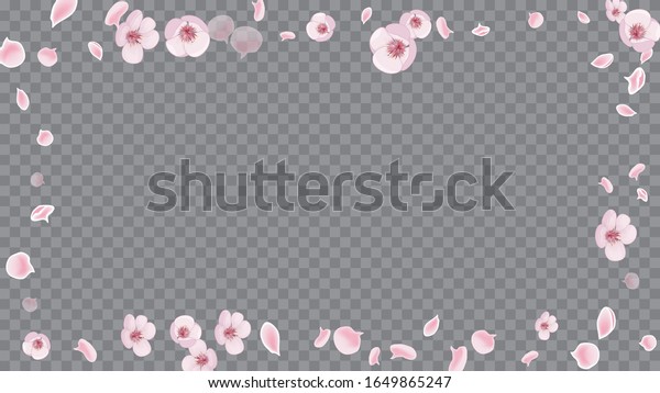 Colorful Poster On Soft Transparent Background Stock Vector (Royalty ...