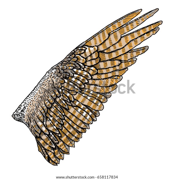 Colorful Single Eagle Bird Angel Wing Stock Vector (Royalty Free) 658117834