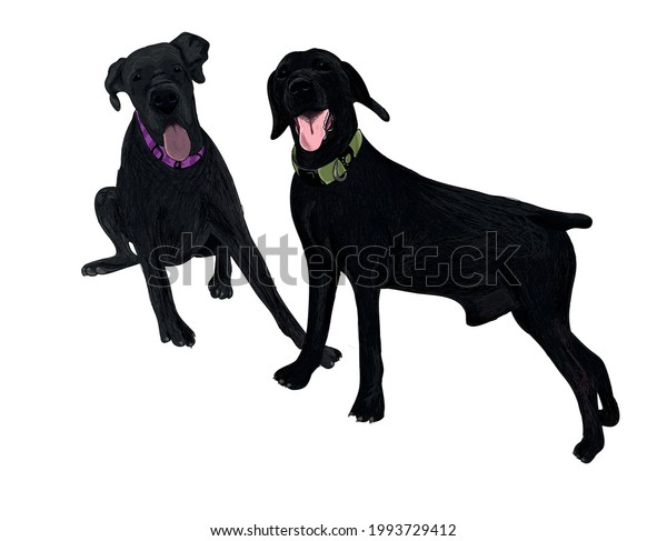Colorful Vector Illustration Two Dog Friends Stock Vector (Royalty Free ...