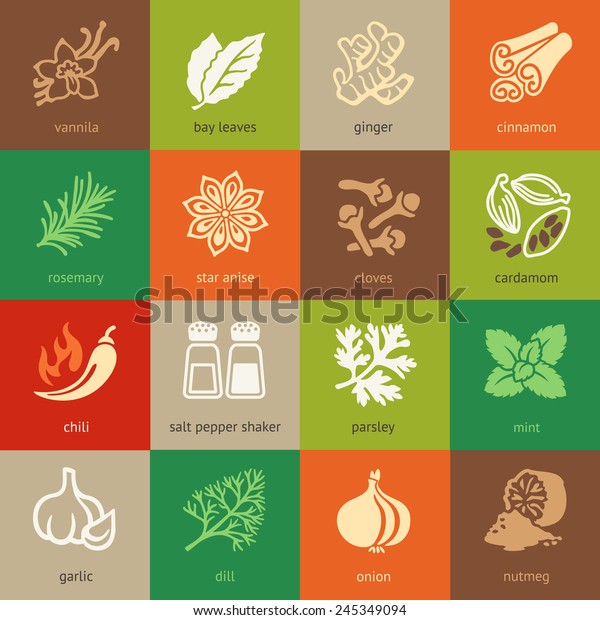 Colorful Web Icon Set Spices Condiments Stock Vector (Royalty Free ...