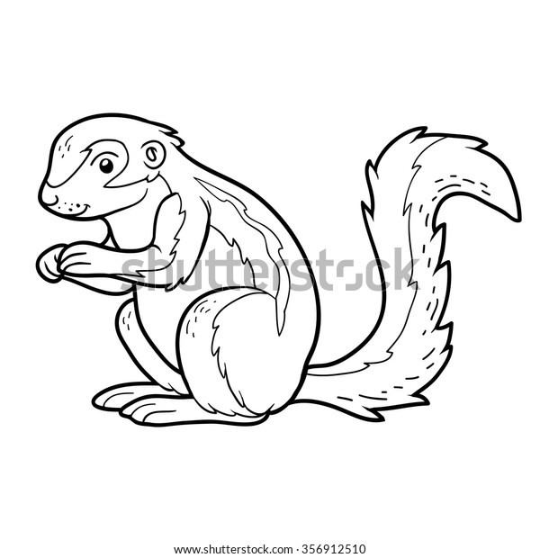 Coloring Book Children Ground Squirrel Xerus Stock Vector (Royalty Free ...