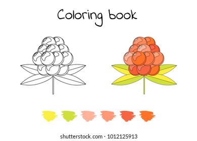 Coloring Book Children Vector Illustration Berry Stock Vector (Royalty ...