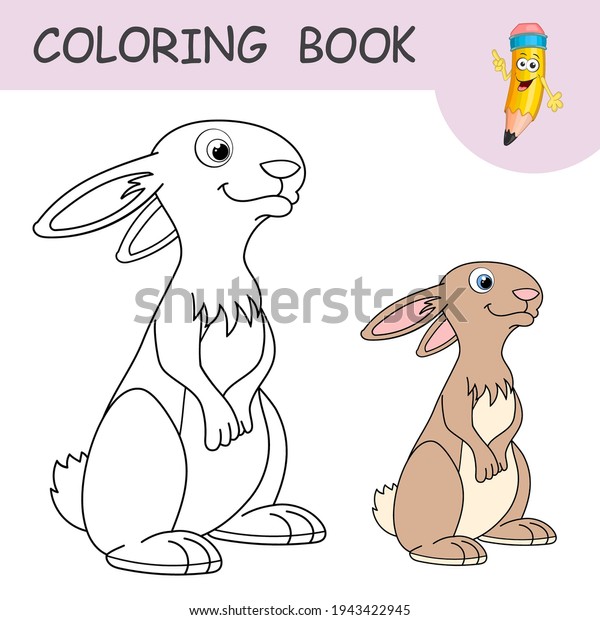 Coloring Book Fun Character Rabbit Colorless Stock Vector (Royalty Free ...