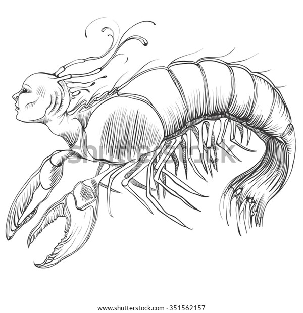 Coloring Book Page Humanoid Shrimp Stock Vector (Royalty Free) 351562157