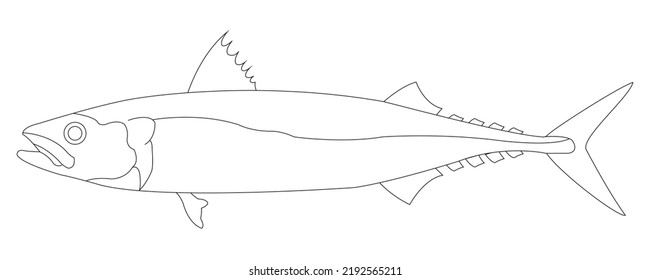 Coloring Image Mackerel Fish Childrens Education Stock Vector (Royalty ...