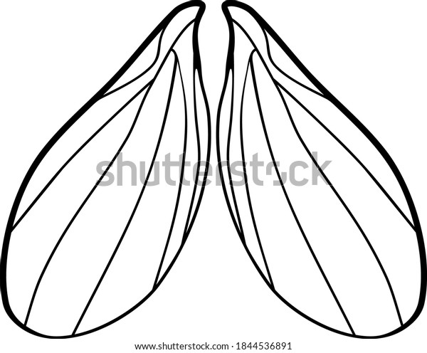 Coloring Page Fly Wings Isolated On: เวกเตอร์สต็อก (ปลอดค่าลิขสิทธิ์ ...