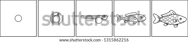 Coloring Page Life Cycle Fish Sequence: vector de stock (libre de ...