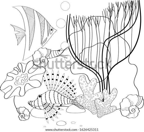 Coloring Page Ocean Fishes Shellfish Corals Stock Vector (Royalty Free ...