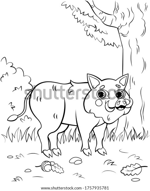 Coloring Page Outline Cute Cartoon Hog Stock Vector (Royalty Free ...