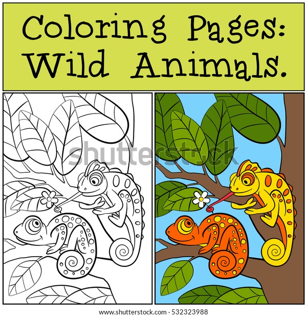 Coloring Pages Wild Animals Two Little Stock Vector (Royalty Free ...