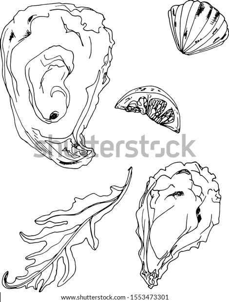 Coloring Vector Mussels Mollusk Grass Line Stock Vector (Royalty Free ...