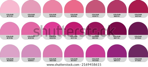 Colour Palette Catalog Samples Pink Cmyk Stock Vector (Royalty Free ...